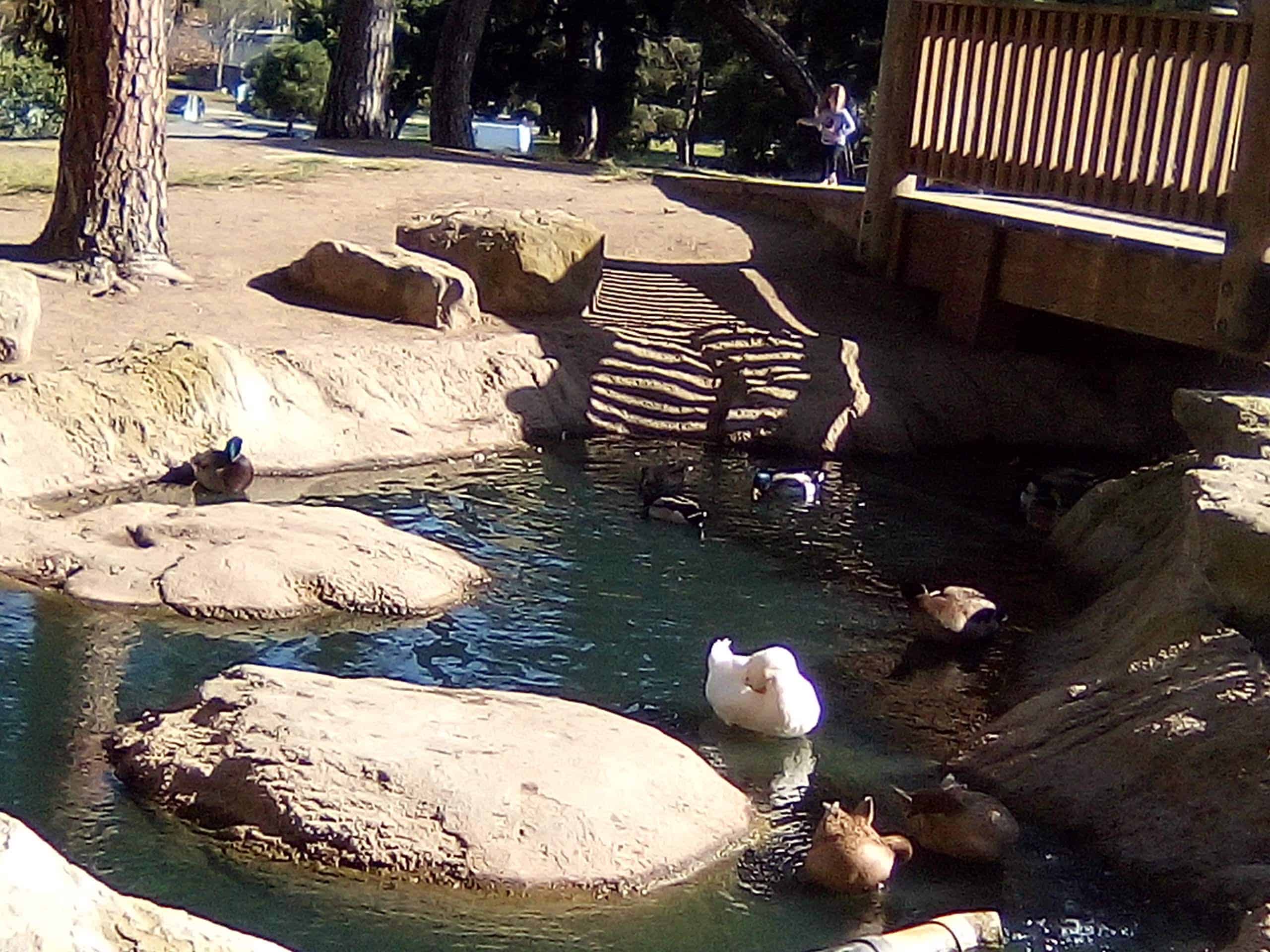 TeWinkle Park Lakes To Get Refurbished - Costa Mesa Insider.