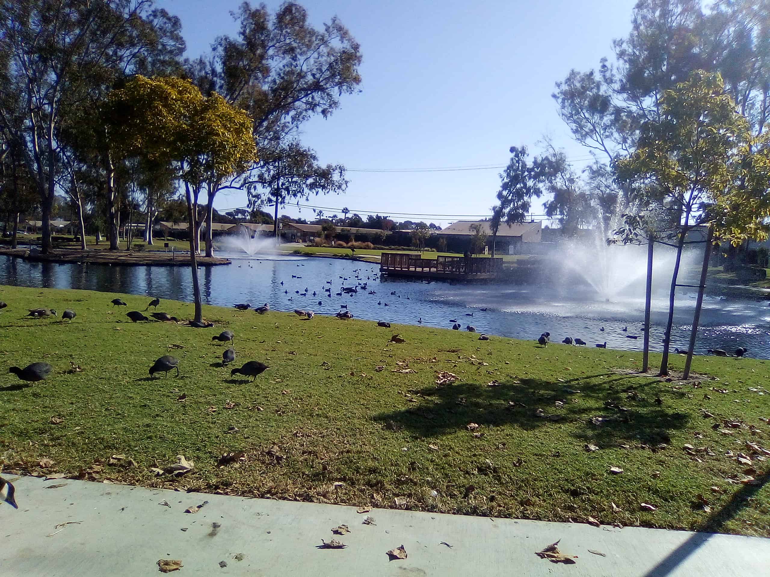 TeWinkle Park Lakes To Get Refurbished - Costa Mesa Insider.