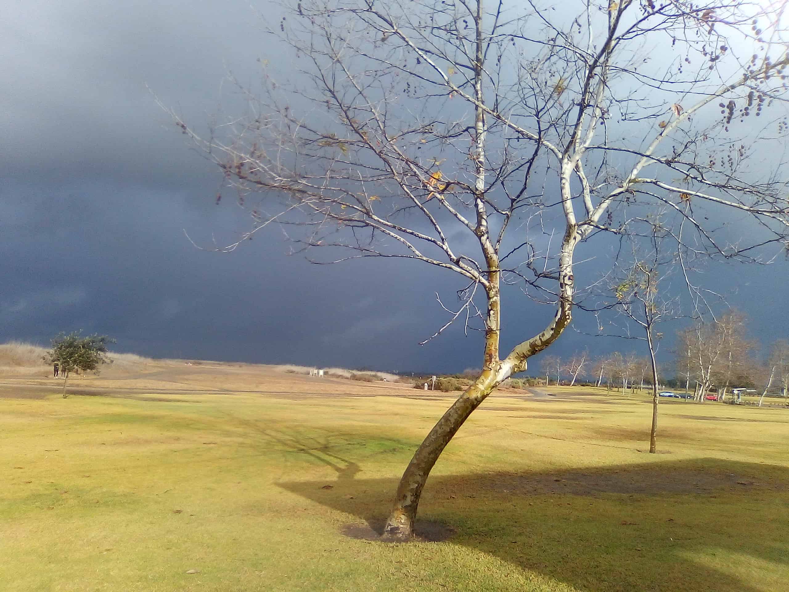 Banning Ranch Park Getting Closer? - Costa Mesa Insider.