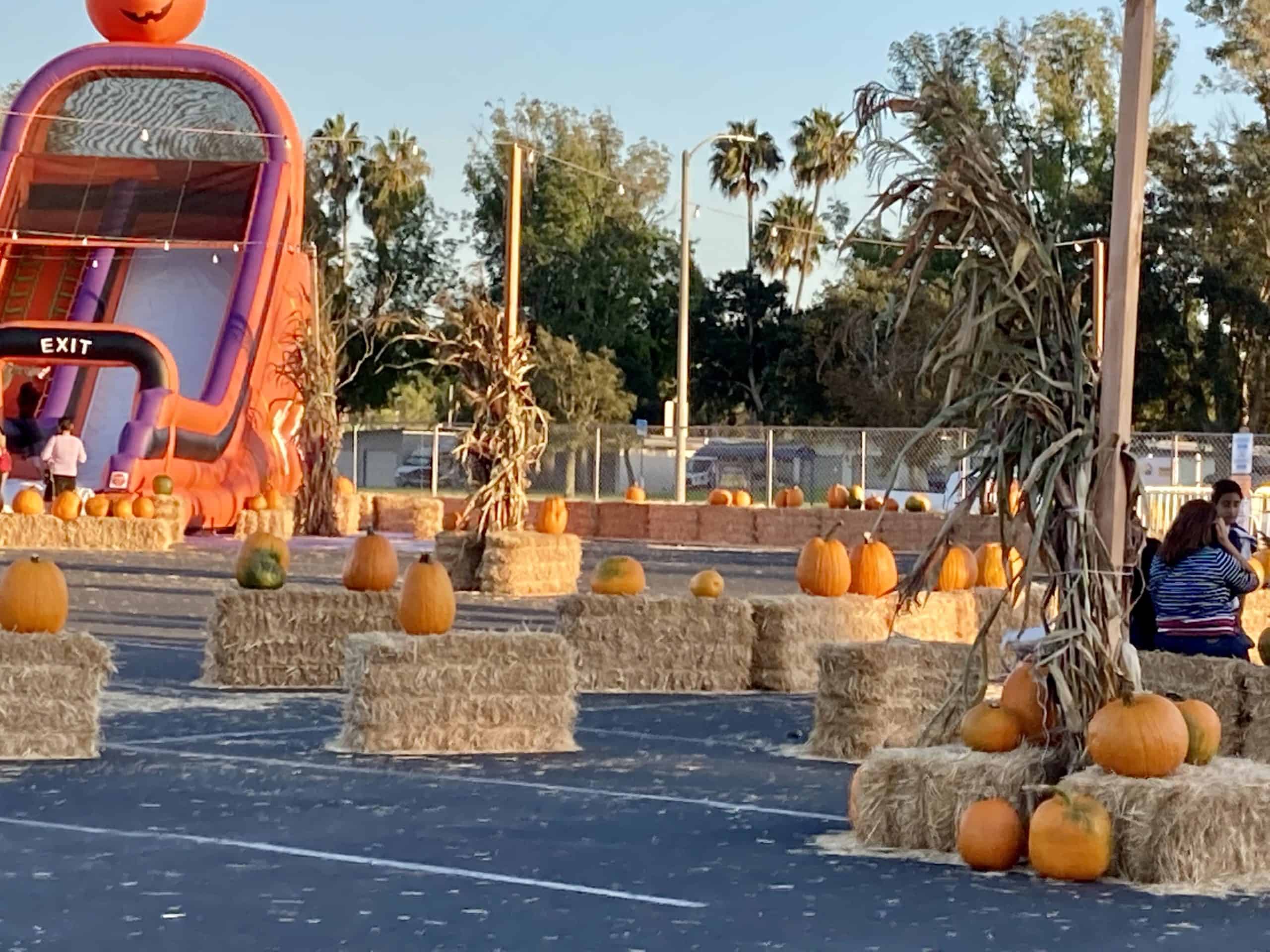 Today The Pumpkin Patch Returns To The OC Fair & Event Center